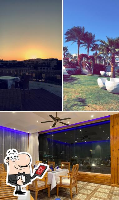 Felucca Fish Restaurant, Sharm El-Sheikh - Restaurant reviews