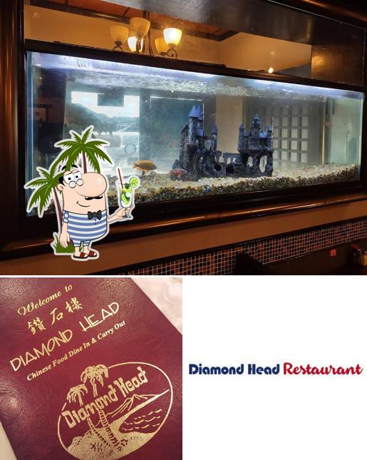 Diamond Head Restaurant in West Plains - Restaurant reviews