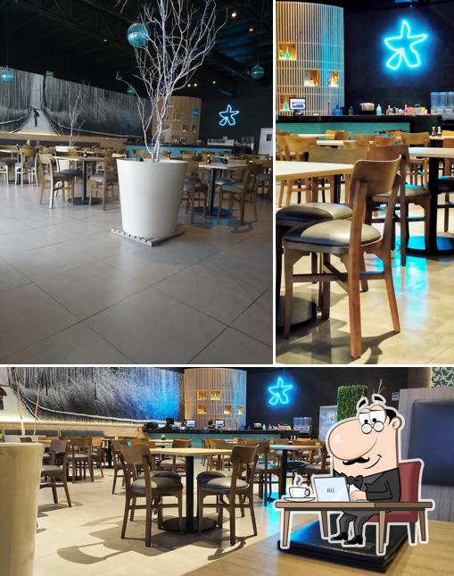 Sushi Estrella, Reynosa - Menú del restaurante, precios y reseñas