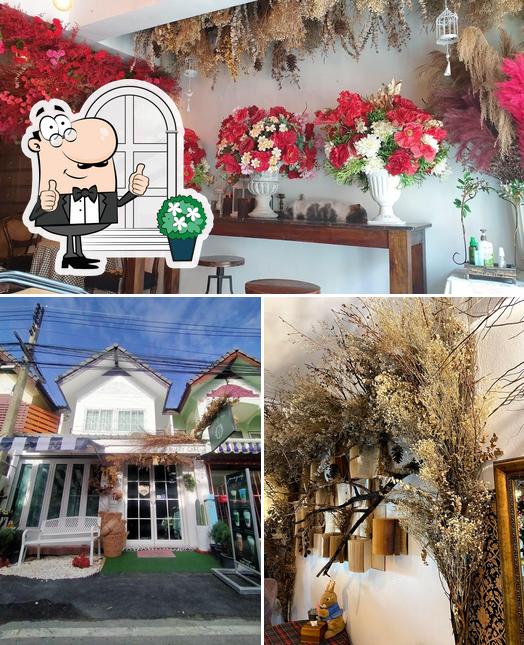January Cake House cafe, Chiang Mai - Restaurant reviews