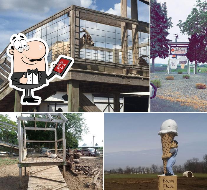 Calder Dairy & Farm in USA - Restaurant menu and reviews