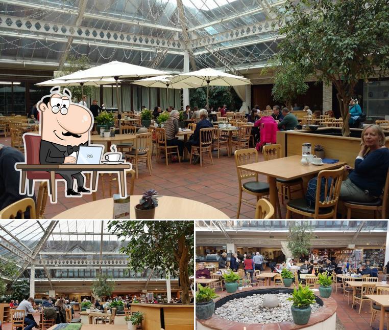 Denbies Wine Estate, Dorking - Restaurant menu, prices and reviews