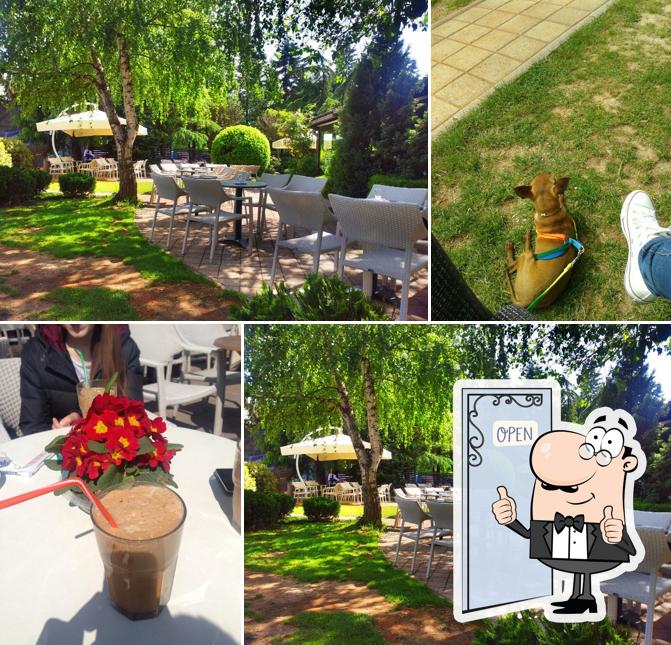 ABC by Ria restaurant, Skopje - Restaurant reviews