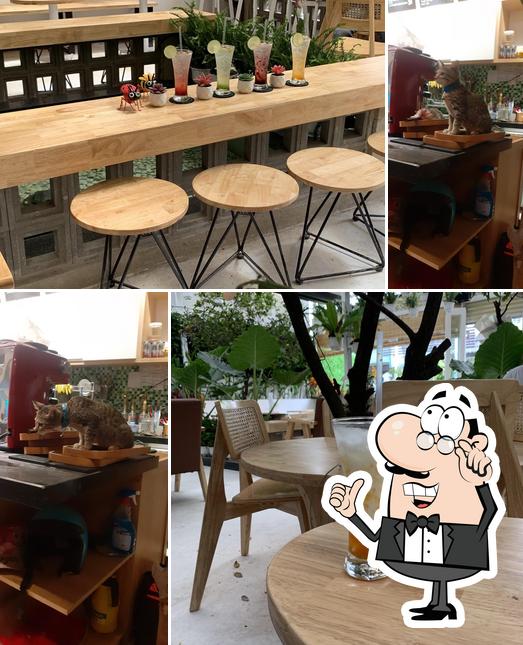 Papa’s Garden Coffee & Tea pub & bar, Ho Chi Minh City - Restaurant reviews