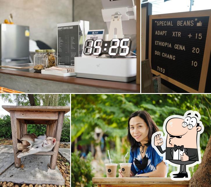 ADAPT COFFEE BAR, Bangkok - Restaurant reviews