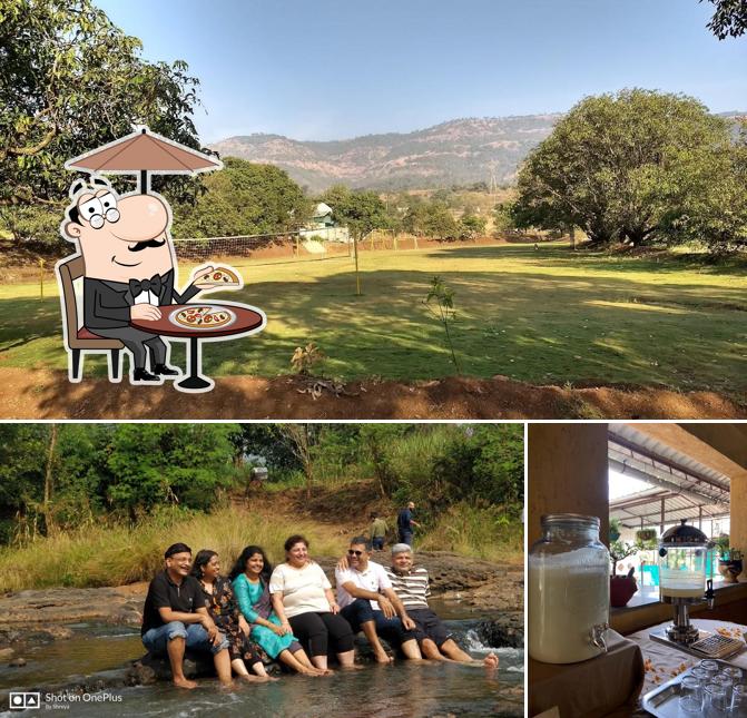 The Farmstead - Agri-Eco Resort, India - Restaurant reviews