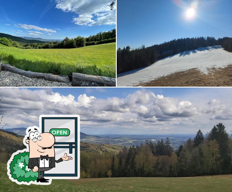 BERG CAFE FLOH, Schaufling - Speisekarte, Preise und Bewertungen