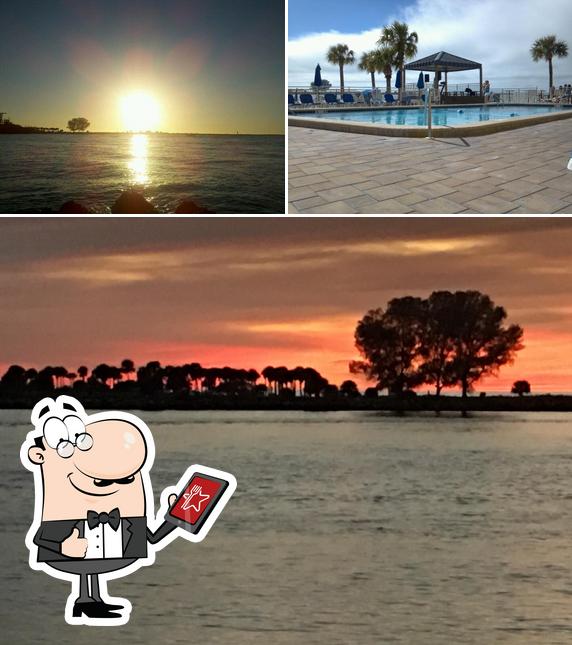 Tropix Island Tiki Bar in Clearwater - Restaurant reviews