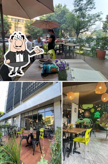 Kiwi Brunch restaurant, Guadalajara - Restaurant reviews
