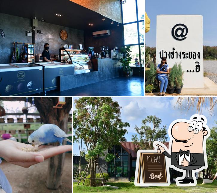 Chang Cafe Rayong, Thailand - Restaurant reviews