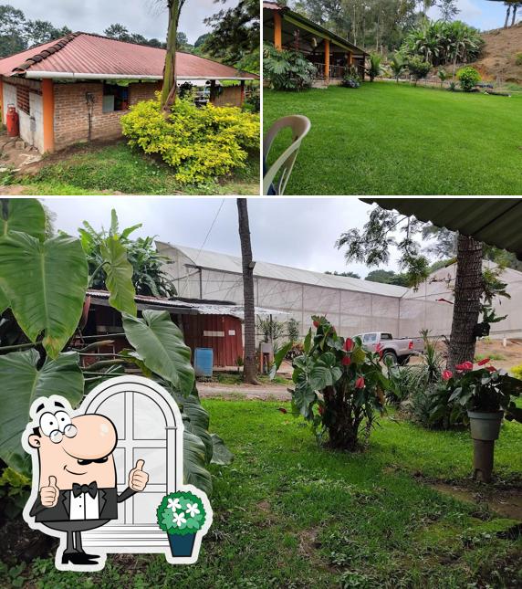 La Palapa del Tío Salo restaurant, Мексика - Restaurant reviews