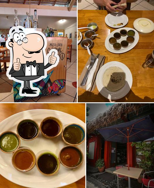 Los Pacos Oaxaca restaurant, Oaxaca, Av Belisario Domínguez 108 ...