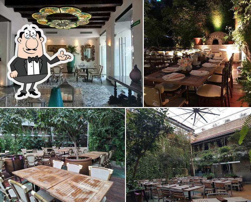 Top 5 restaurants with meze in Santo Domingo, september 2025 ...