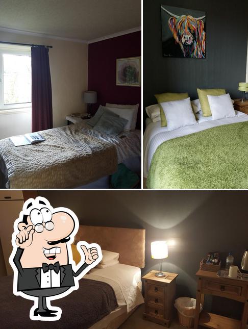 The Ship Inn in Ulverston - Restaurant menu and reviews