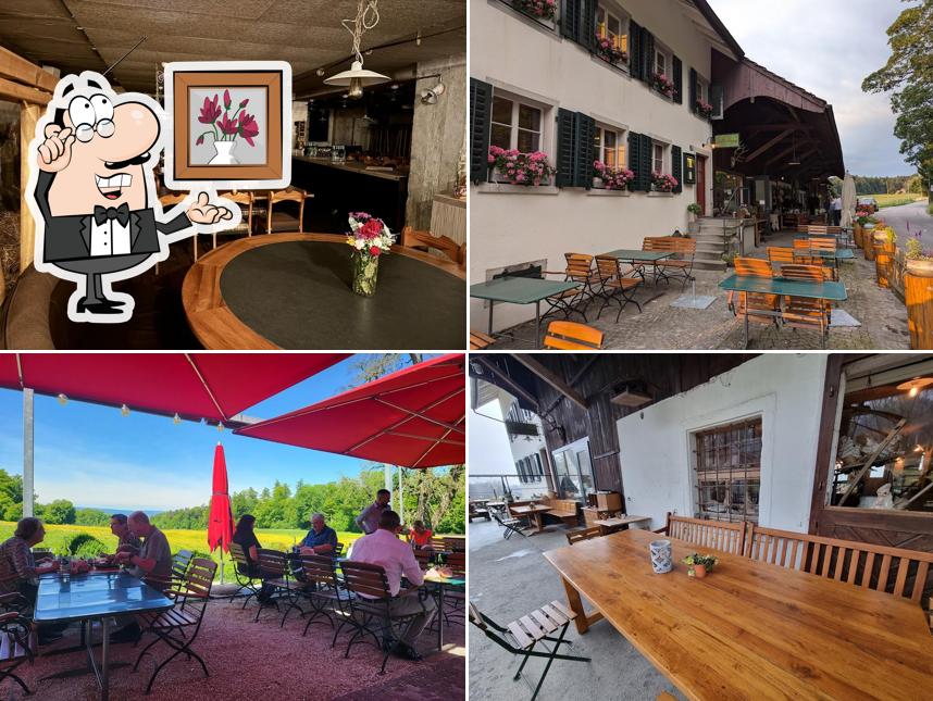 Restaurant Adlisberg, Zürich - Speisekarte, Preise und Bewertungen