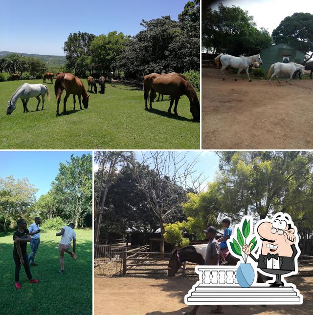 Dayspring Animal Farm, Richards Bay - Restaurant menu, prices and reviews