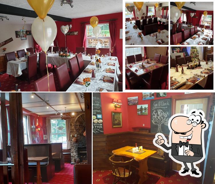 Find the best place to eat in Halwell, winter 2024 - Restaurant Guru