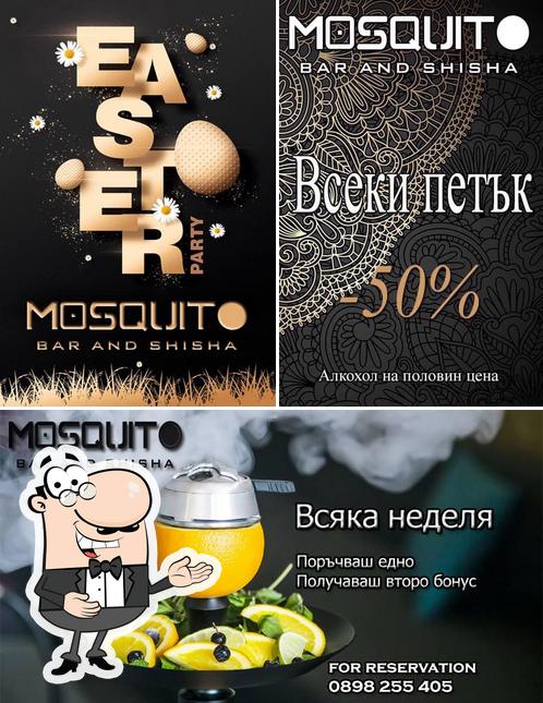Mosquito Bar and Shisha, Kosloduj