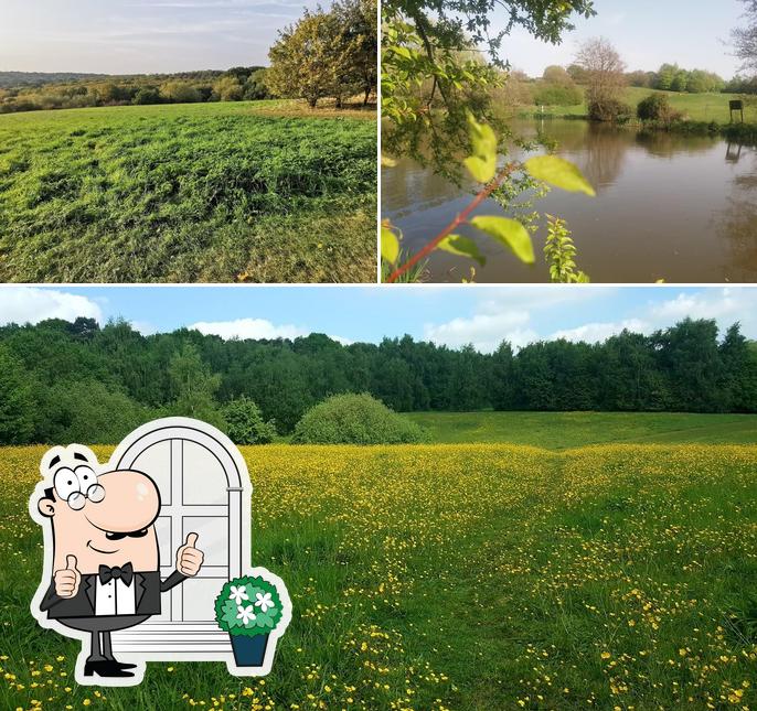 High Woods Country Park Visitor Centre and Café, Colchester ...
