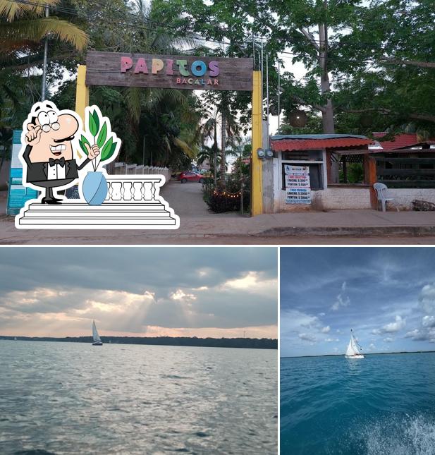 Restaurante Papitos, Bacalar - Restaurant reviews