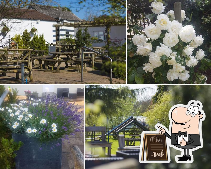 The Rodney Stoke Inn in Rodney Stoke - Restaurant menu and reviews