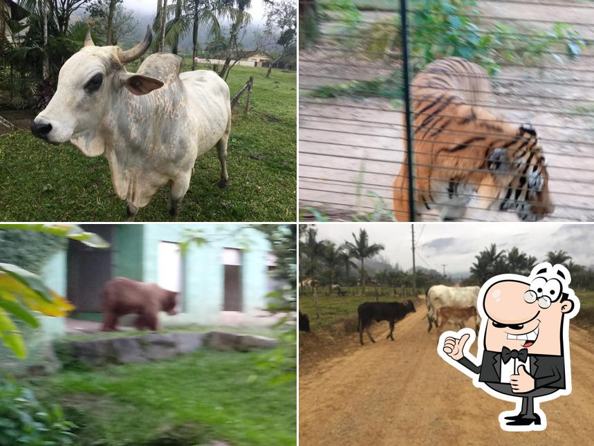 Dell Rancho pub & Bar, Jaraguá do Sul - Avaliações de restaurantes