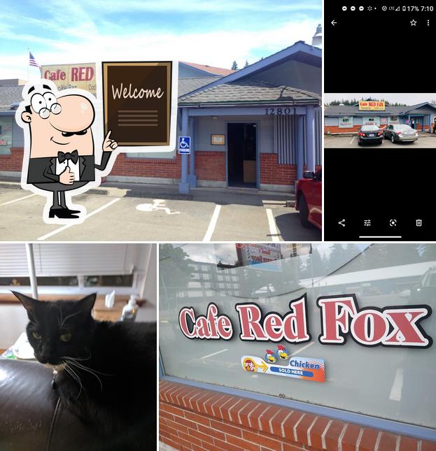 Cafe Red Fox, Tacoma - Restaurant menu, prices and reviews