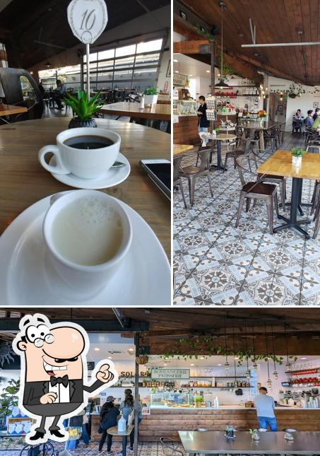 Cafe Solar in Los Angeles - Restaurant menu and reviews