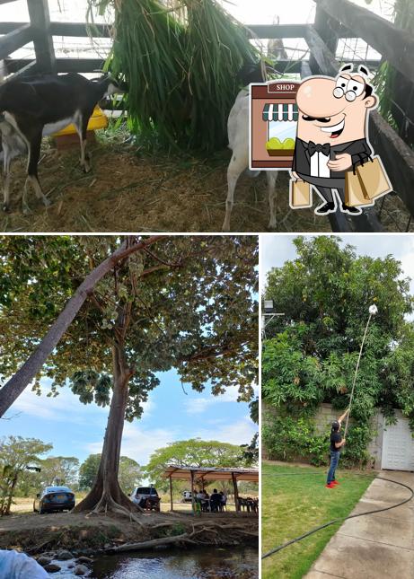 Restaurante Maria Elißa, Valledupar - Restaurant menu, prices and reviews