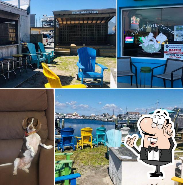 Tipsy Turtle Tavern in Atlantic Beach - Restaurant reviews