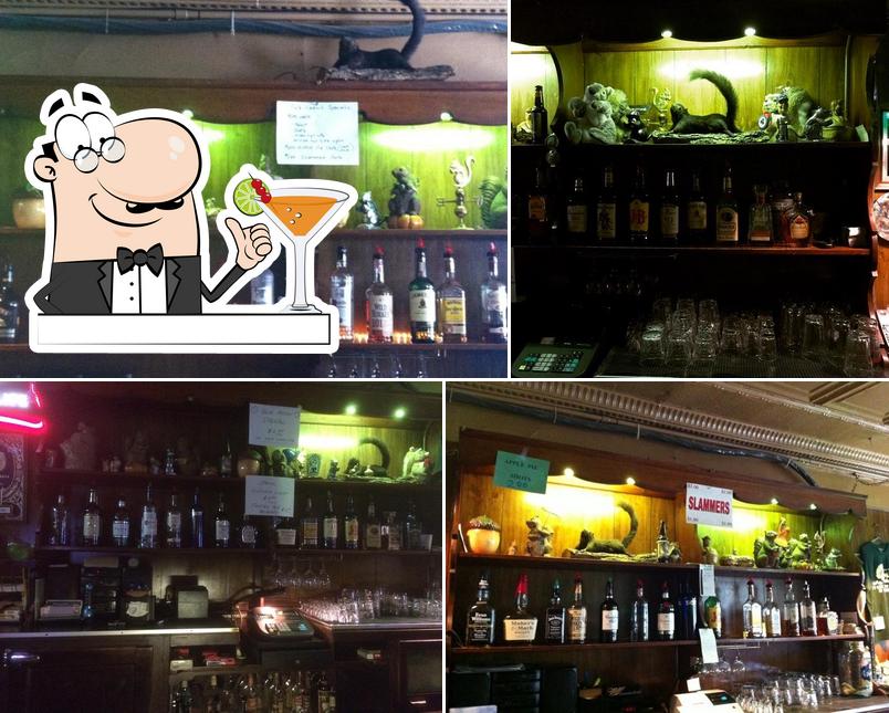 Squirrel Cage, Milwaukee - Restaurant menu, prices and reviews