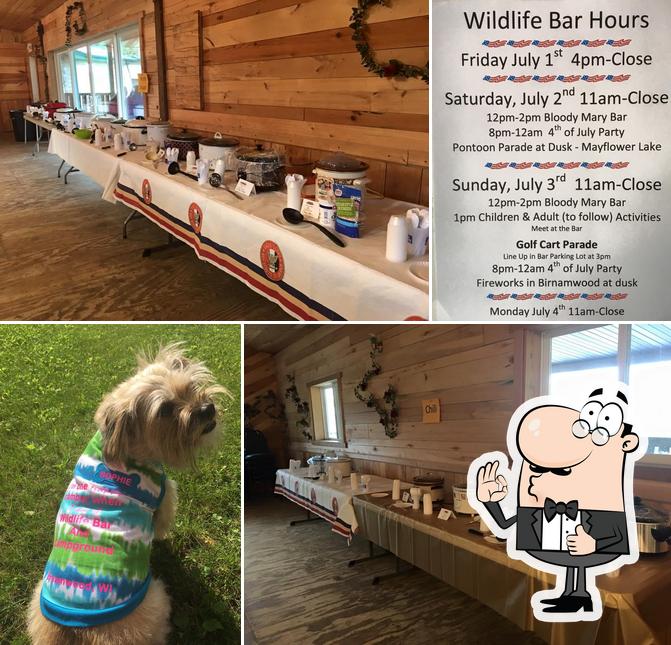 Wildlife Bar and Campground, N4597 Willow Ln in Birnamwood