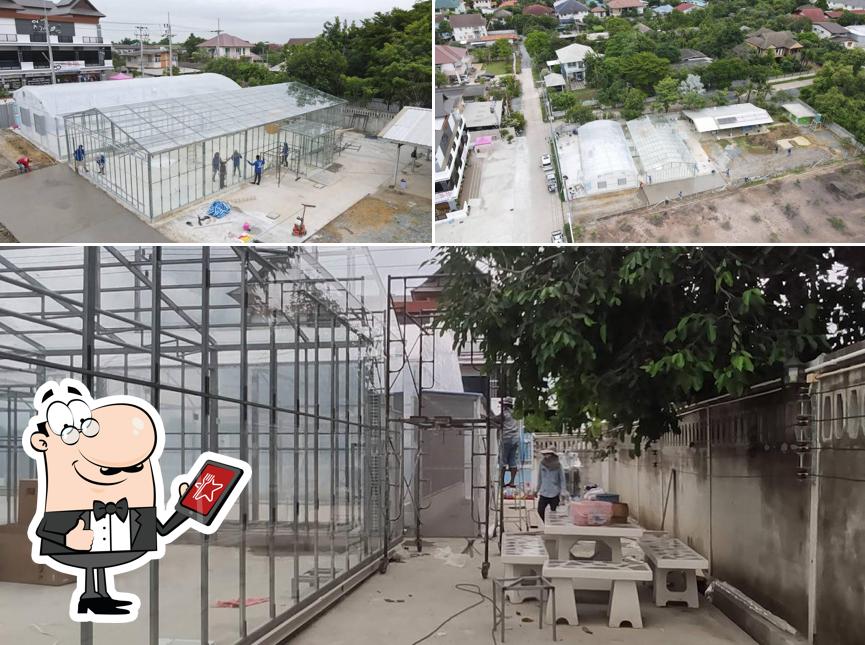 WPS Group HEMP Farm Research Station cafe, Tha Talat - Restaurant reviews