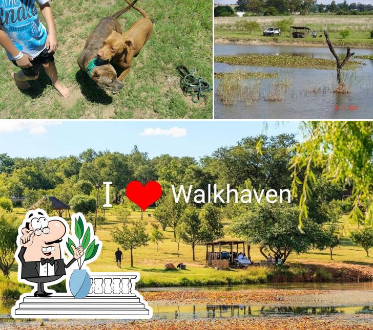 Walkhaven Dog Park, Randburg - Restaurant menu, prices and reviews