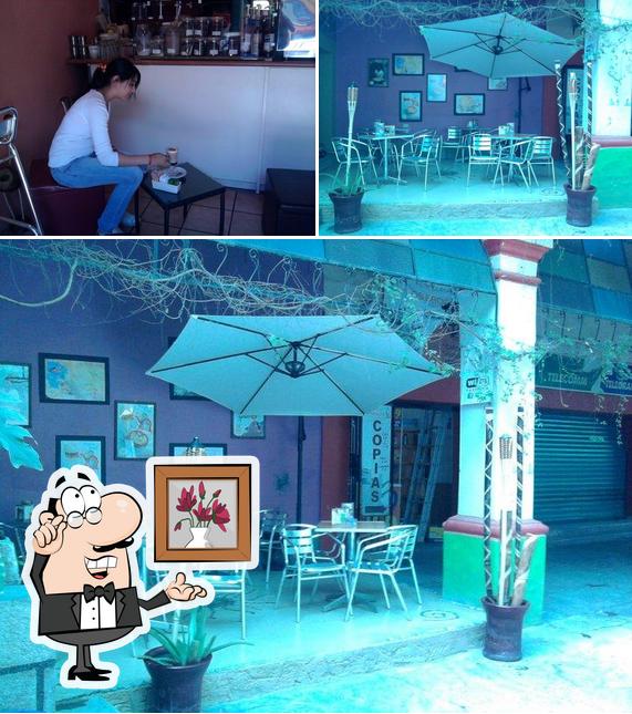oRgaNika kafE restaurant, Mexico City