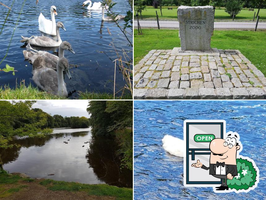 Top 5 places to eat in Strichen, september 2025 - Restaurant Guru