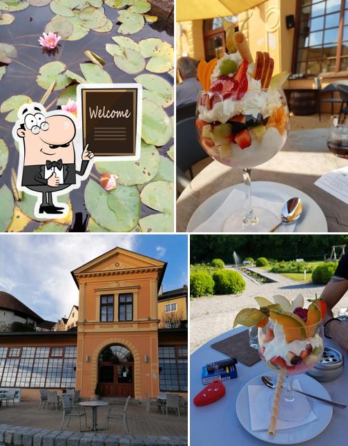 Orangerie Schärding restaurant, Schärding - Restaurantspeisekarten und ...