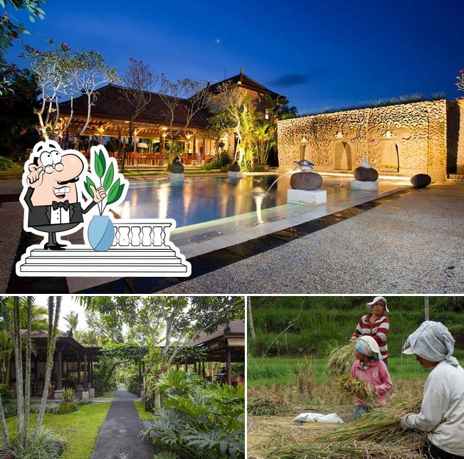 Kebun Organic Restaurant Ubud, Ubud