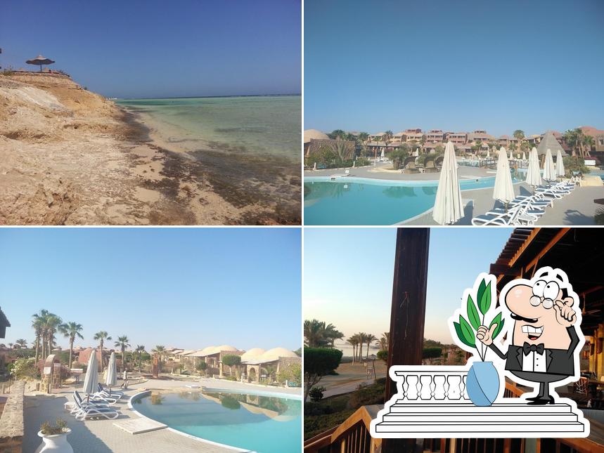 Eden Pool Bar, Egipto - Critiques de restaurant