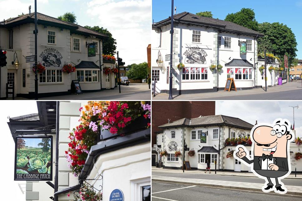 The Cabbage Patch, Twickenham in Twickenham - Restaurant menu and reviews