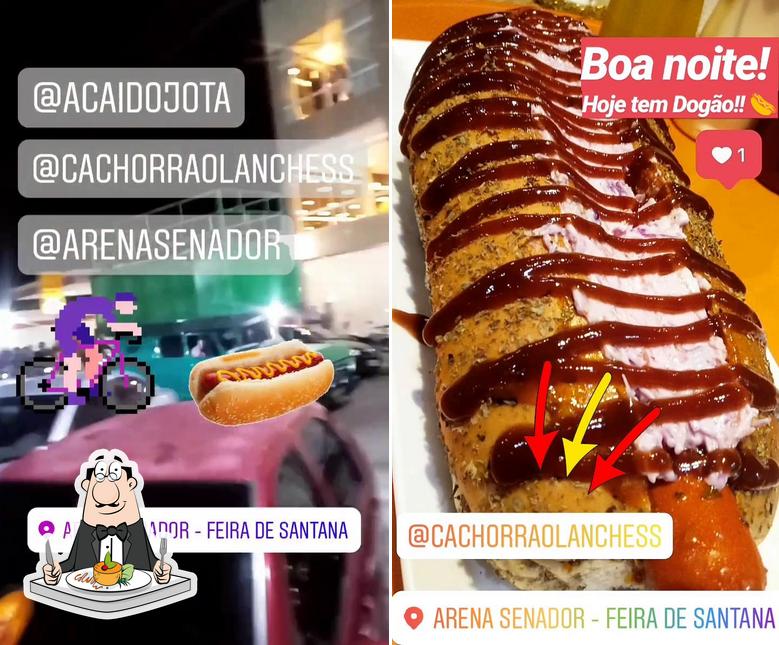 Cachorrão Delivery restaurante, Feira de Santana - Avaliações de ...