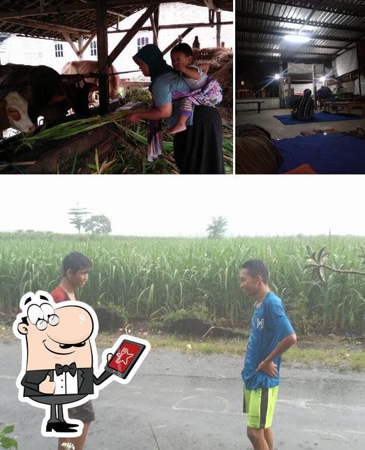 Sego Goreng Pak Sadimon restaurant, Tulungagung - Restaurant reviews