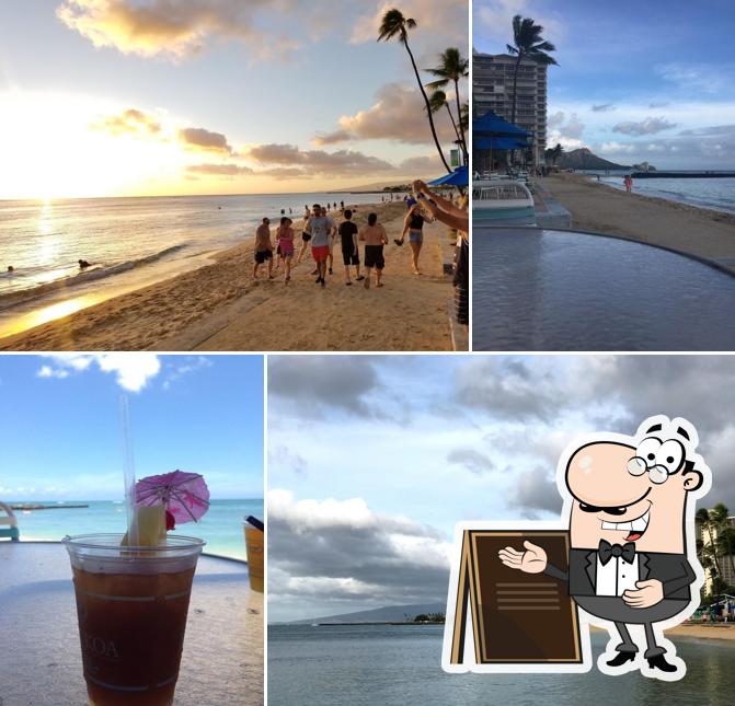 Koa Oasis Booze Shack in Honolulu - Restaurant reviews