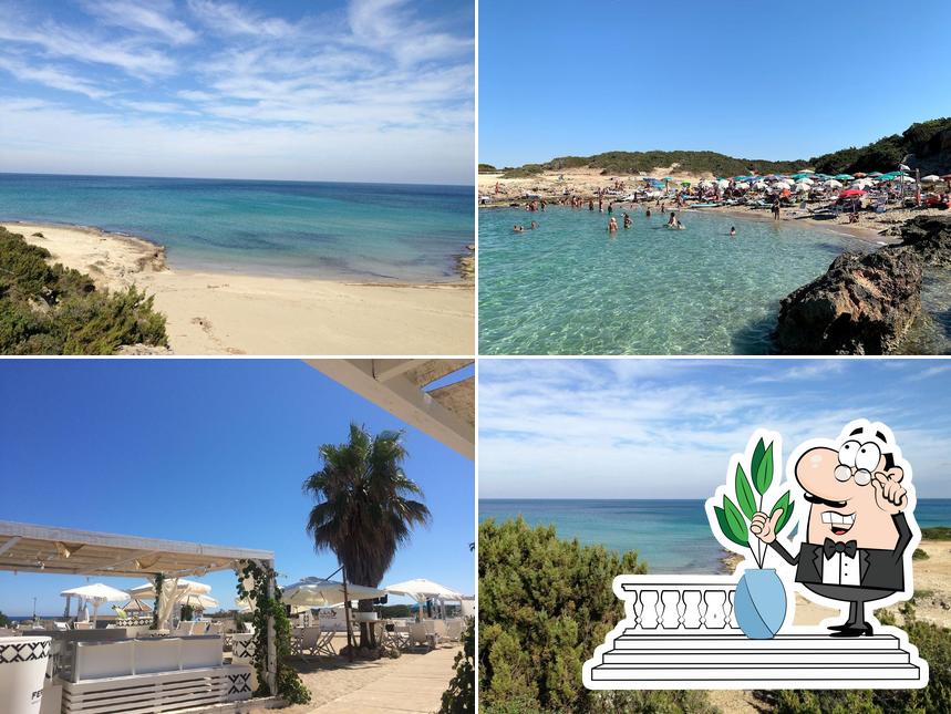 White Ostuni Beach Club, Rosa Marina, Contrada Monticelli Località ...