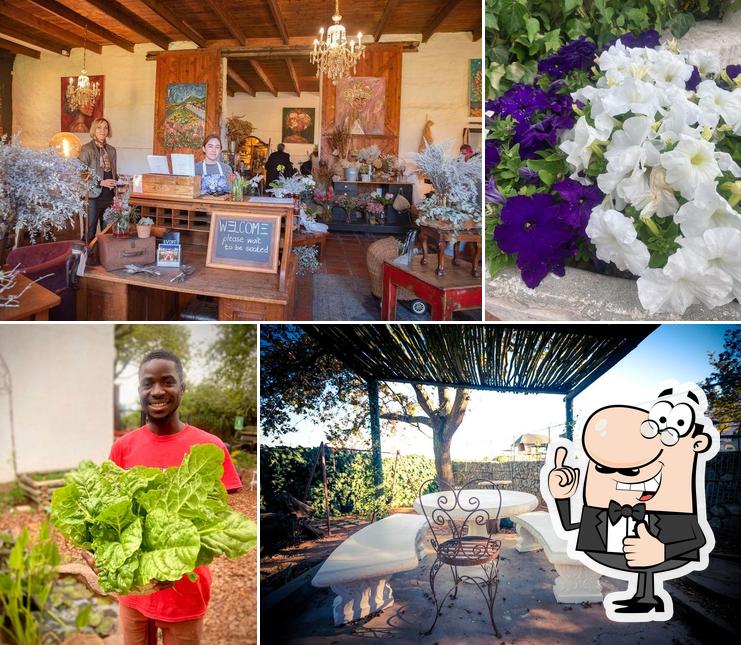 Evert Opstal Restaurant, Cape Town - Restaurant menu, prices and reviews