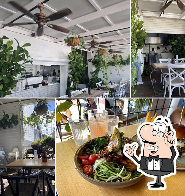 Fiddle Leaf, Bulimba - Restaurant menu, prices and reviews