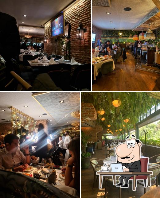 Restaurante Animal Masaryk, Ciudad de México - Carta del restaurante y ...