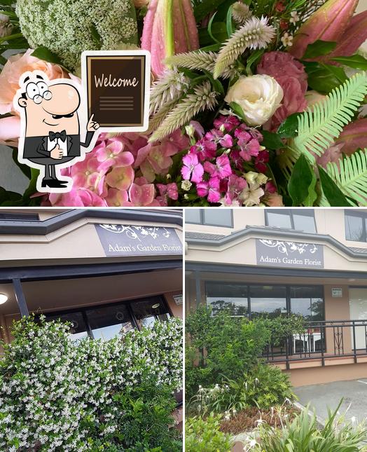 All places to eat and drink in Molendinar, spring 2024 - Restaurant Guru