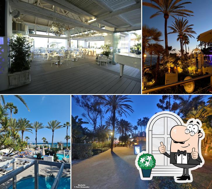 Sea Grill in Marbella - Restaurant menu and reviews