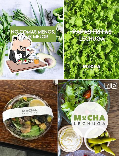 Mucha Lechuga pub & bar, Mexico City - Restaurant reviews